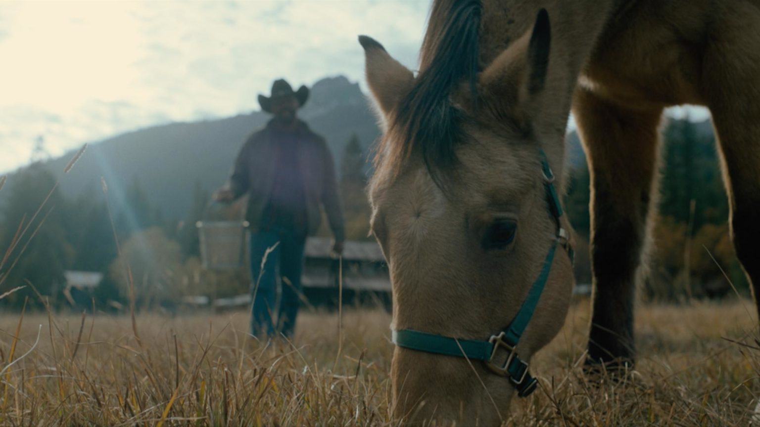 The best LGBTQ+ Short Films of 2022 - The Film Fund Blog